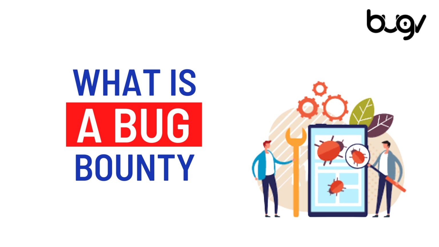 What Is a Bug Bounty and How It Works - Bugv Blog